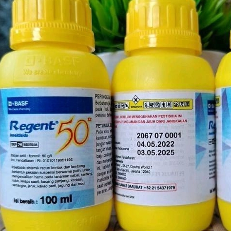 Jual Regent 50sc ( 100 ml ) | Shopee Indonesia
