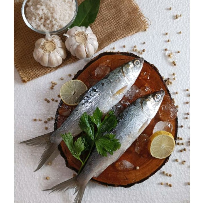 Jual Ikan Bandeng 10kg Beku Fresh Frozen | Shopee Indonesia