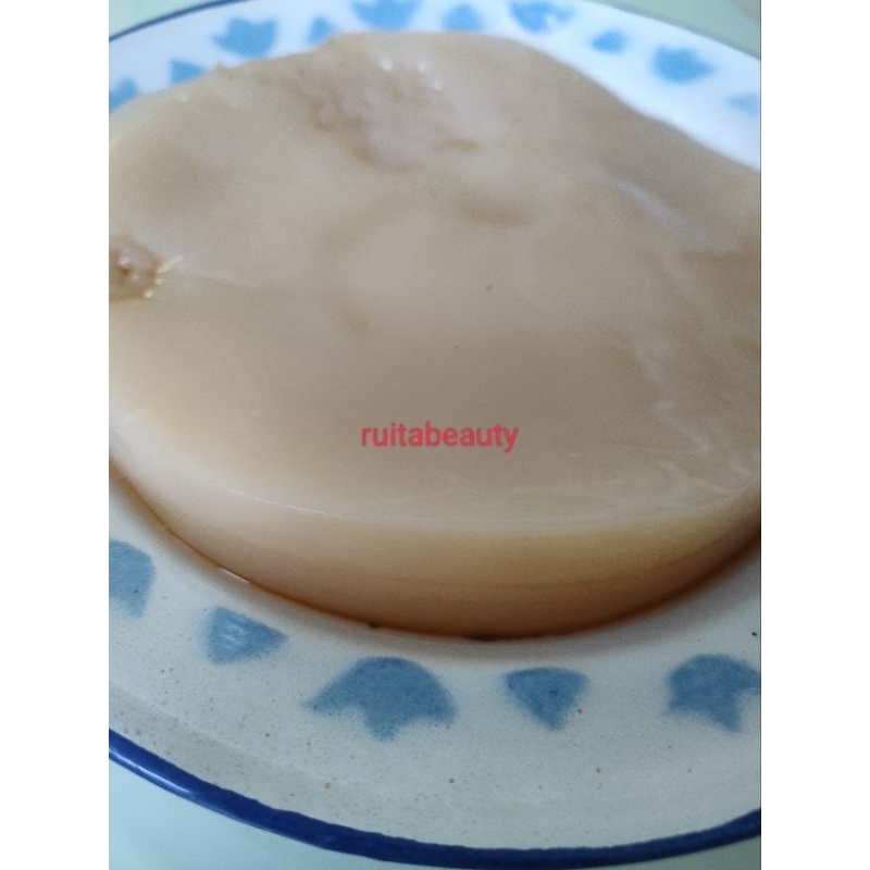 Jual Scoby Kombucha Starter Jamur Teh Bibit Sehat | Shopee Indonesia