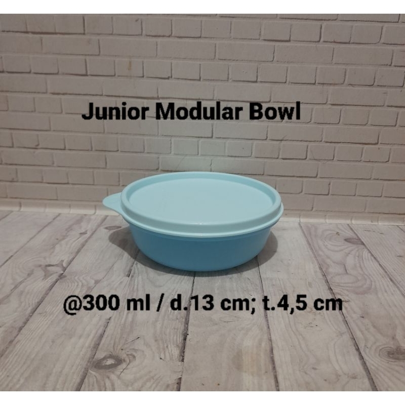 Jual Tupperware Junior Modular Bowl. | Shopee Indonesia