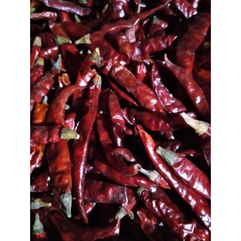 Jual Cabe kering kecil india tanpa tangkai 250gr/500gr/1kg. | Shopee ...