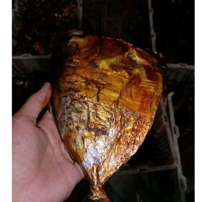 Jual Ikan Semar / Bagong Asap 500gr (isi 2-3 pcs) | Shopee Indonesia