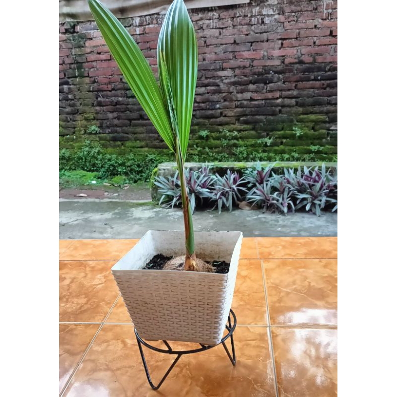 Jual Rak pot besi,rak pot kembang, tempat pot/tempat bunga /dudukan ...