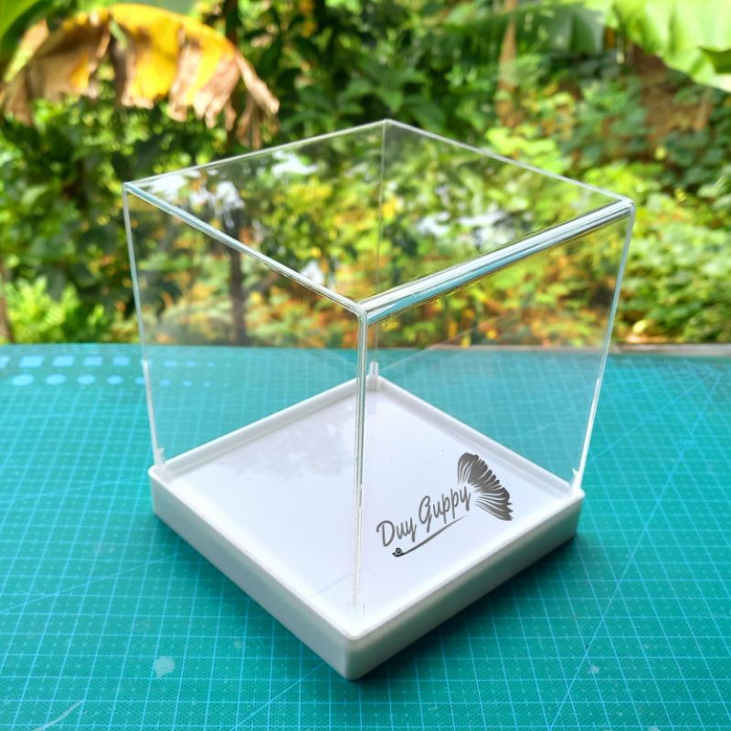 Jual box display/kotak mahar akrilik, base putih | Shopee Indonesia