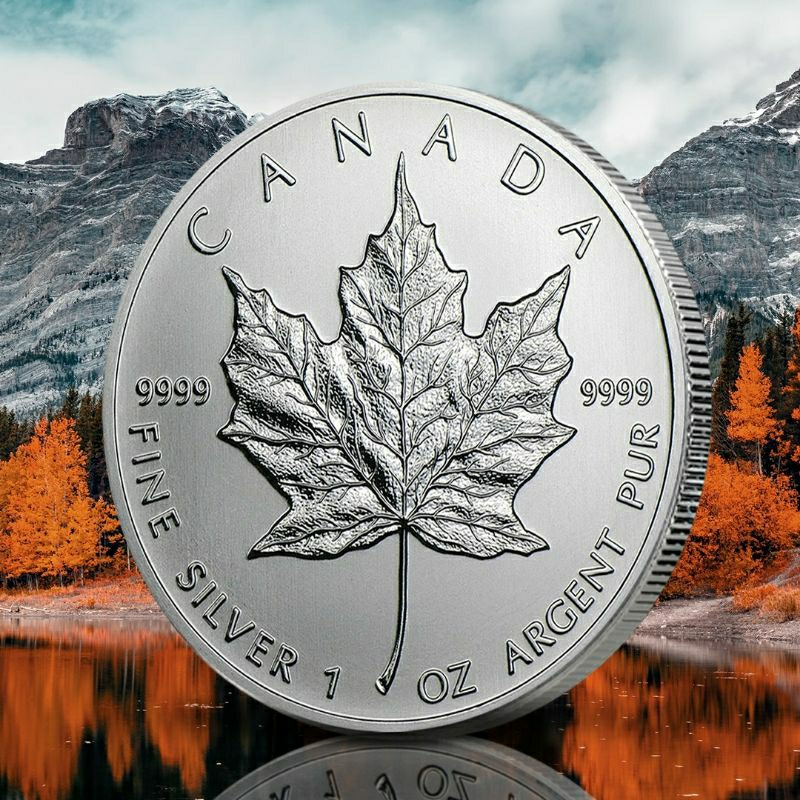 Jual KOIN PERAK CANADIAN MAPPLE 2021 - 1OZ 31,1gr SILVER COIN | Shopee ...