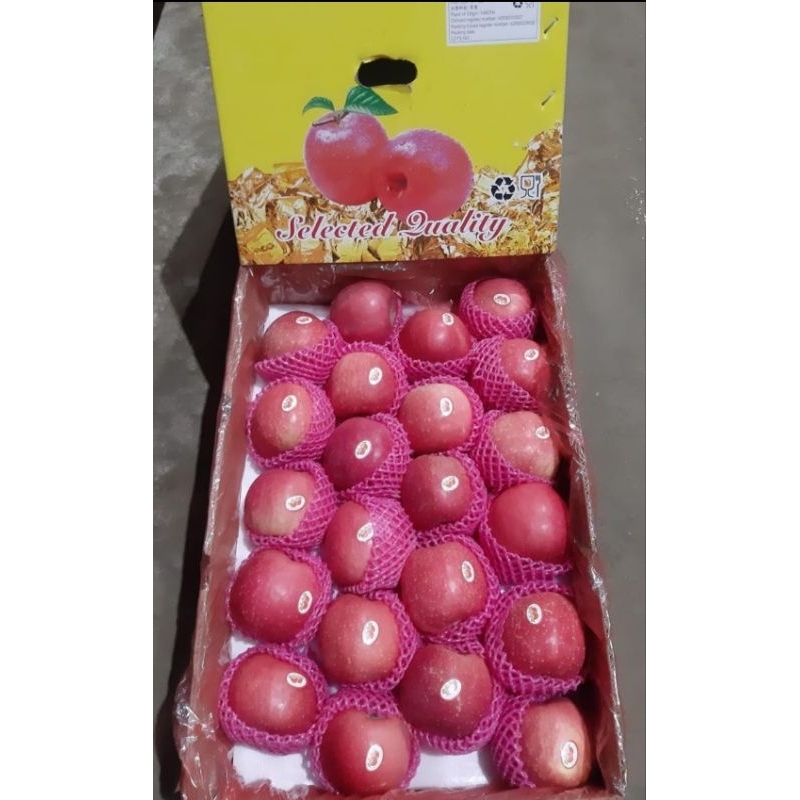 Jual Apel Fuji China | Shopee Indonesia