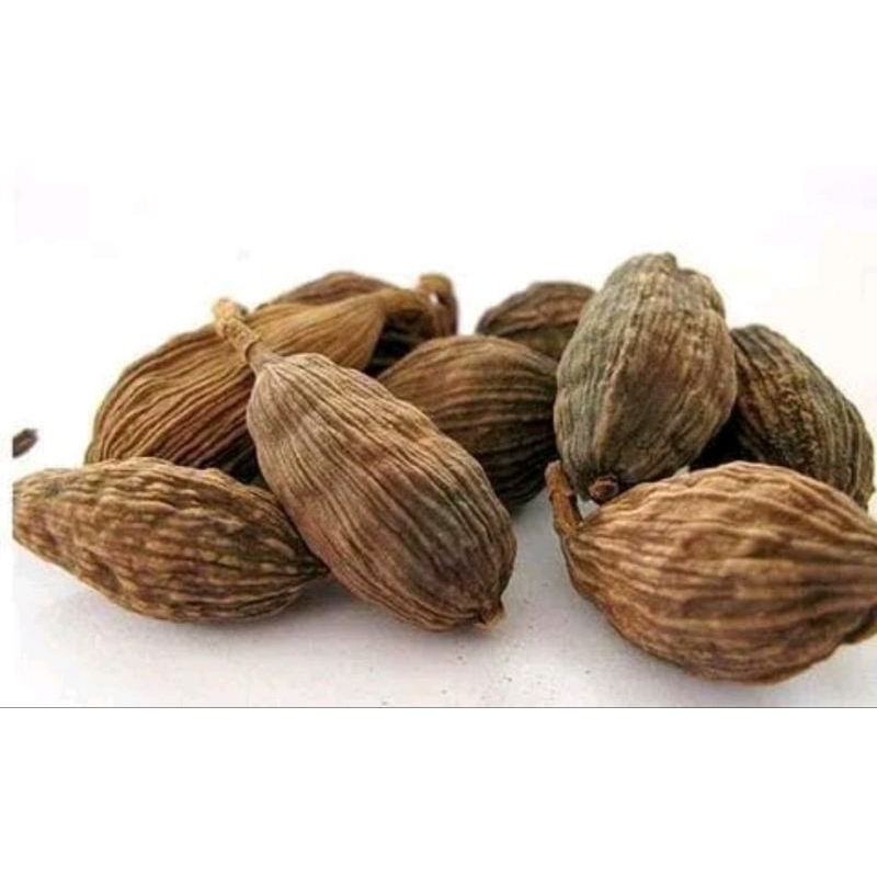 Jual 10 G 50 GR GRAM CAO GUO 草果 BLACK CARDAMOM KAPULAGA HITAM TSAOKO ...