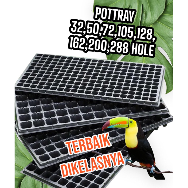 Jual Tray Semai Pot Tray Penyemaian Bibit Tanaman 32/50/72/105/128/162 ...