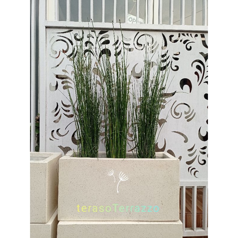 Jual Pot Bambu Air Teraso / terazzo | Shopee Indonesia