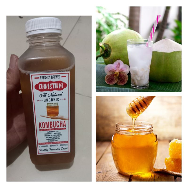 Jual kombucha Tea varian rasa kelapa muda + madu 500ml ( siap minum ...