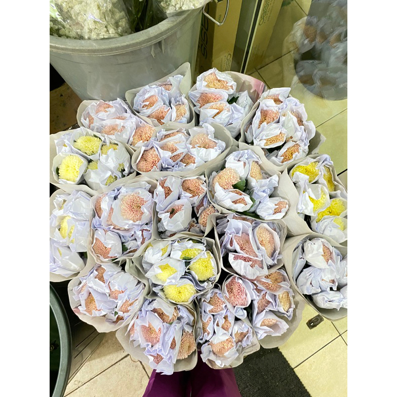 Jual Gompie semua warna - isi 10 batang/tk | Shopee Indonesia