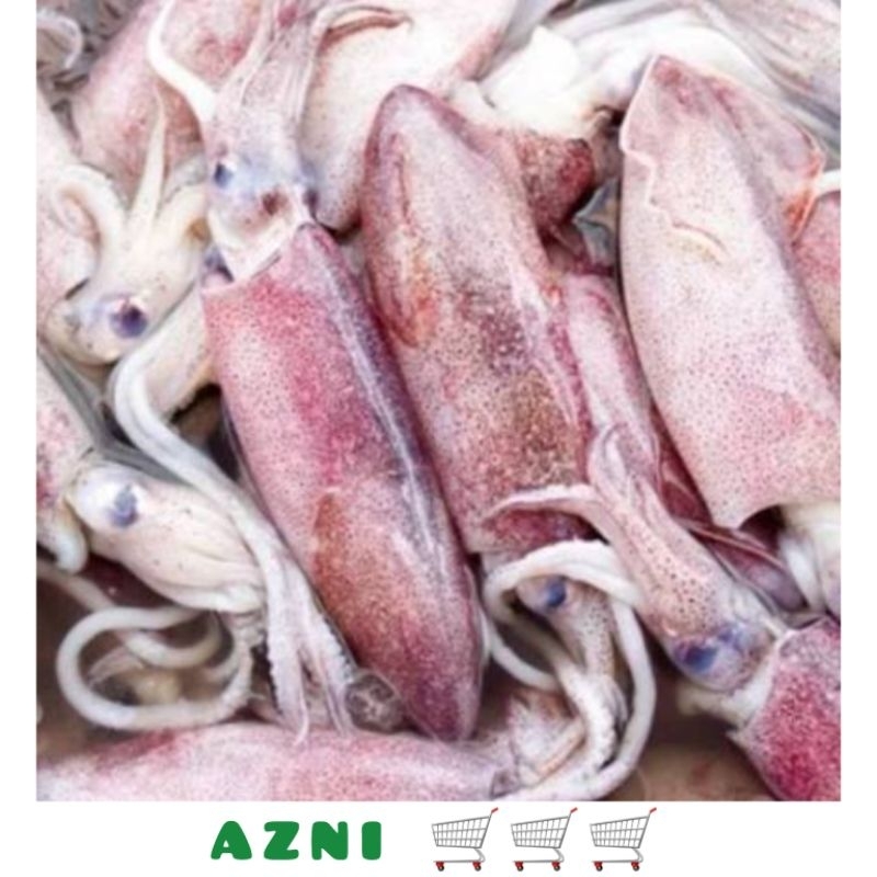 Jual Cumi Segar Per 250 Gr | Shopee Indonesia