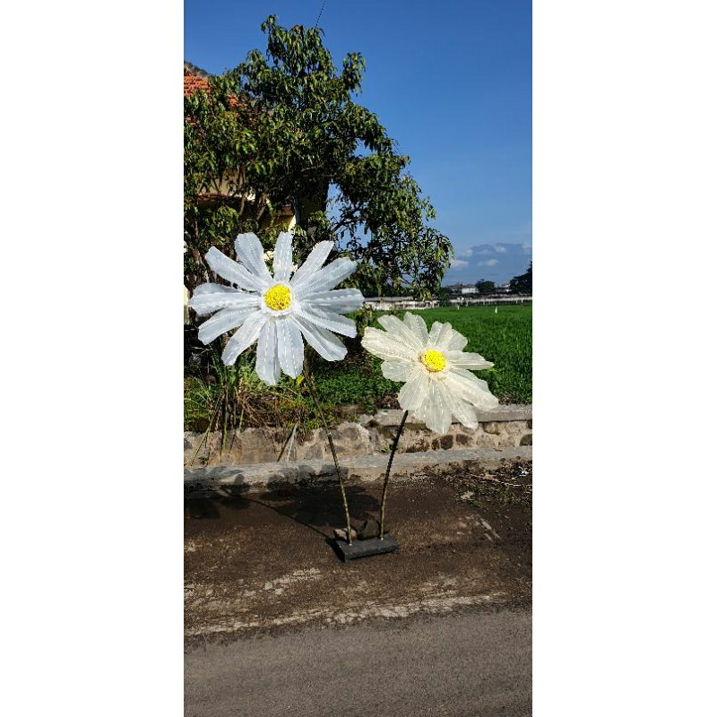 Jual Giant Flower Daisy Aster Bunga Hiasan Kain Organza Kelopak Jumbo ...
