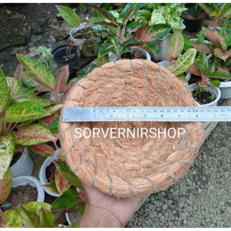 Jual TARANGAN BURUNG DARI SABUT KELAPA 20cm | Shopee Indonesia