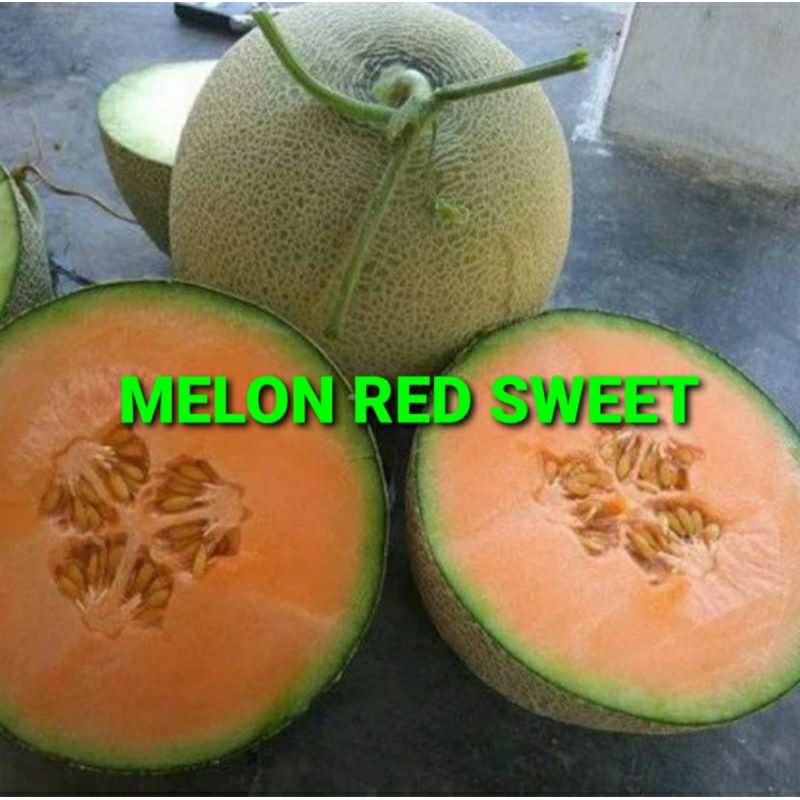 Jual MELON RED SWEET KHUSUS PARA SULTAN 1 KG (PREMIUM QUALITY) | Shopee ...
