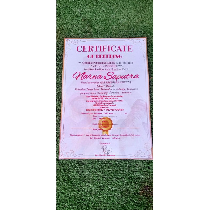 Jual CERTIFICATE OF BREEDING GPR BREEDER | Shopee Indonesia