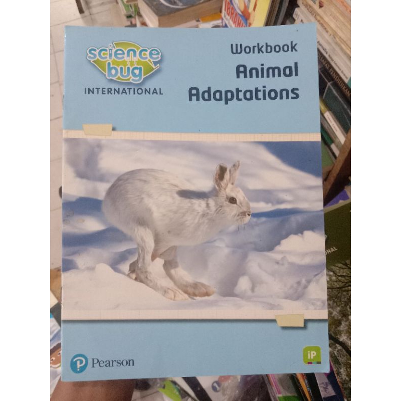 Jual Animal Adaptations.Workbook. | Shopee Indonesia