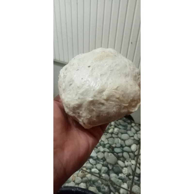 Jual pulut lem burung | Shopee Indonesia