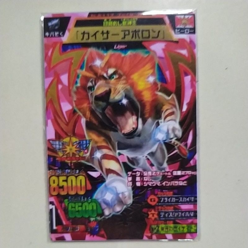 Jual KAISER APOLLO versi JAPAN | Shopee Indonesia