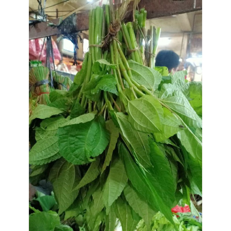 Jual Daun Poh Pohan Segar Sayuran Lalapan 500gr | Shopee Indonesia
