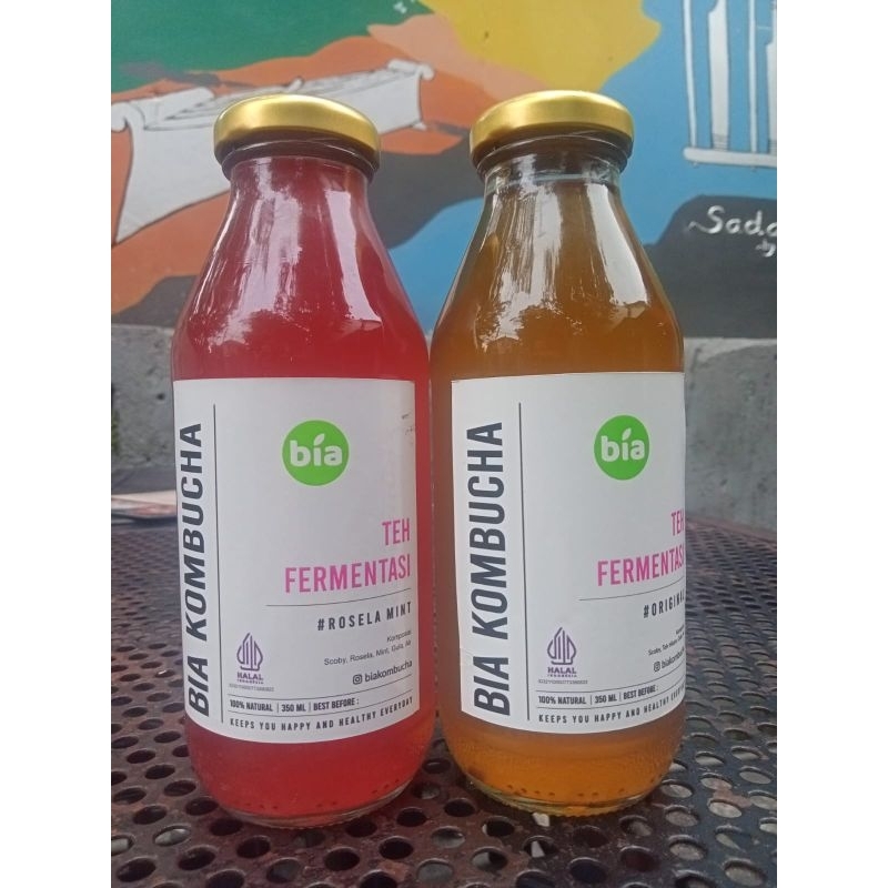 Jual Bia Kombucha botol 350ml minuman sehat probiotik | Shopee Indonesia