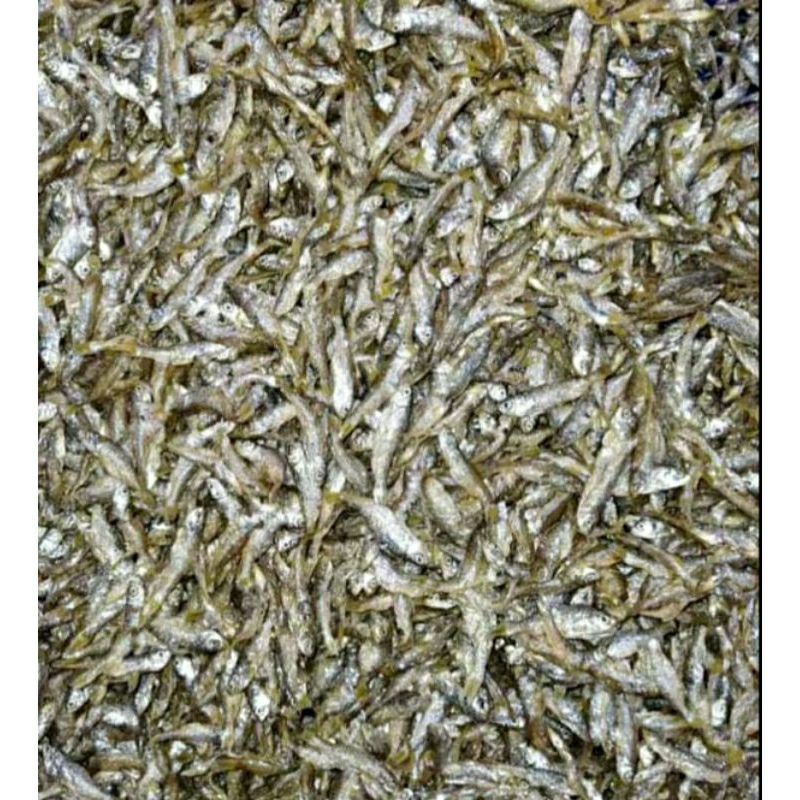 Jual ikan bilih danau singkarak asli solok | Shopee Indonesia