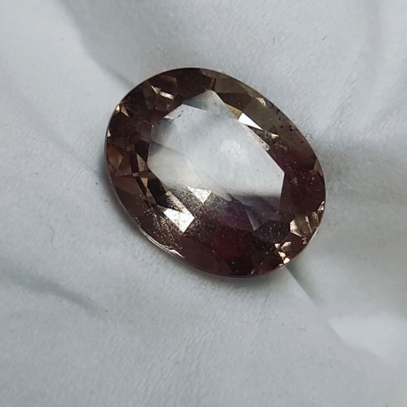 Jual KECUBUNG TEH KINYANG TEH ASLI BORNEO KALIMANTAN | Shopee Indonesia