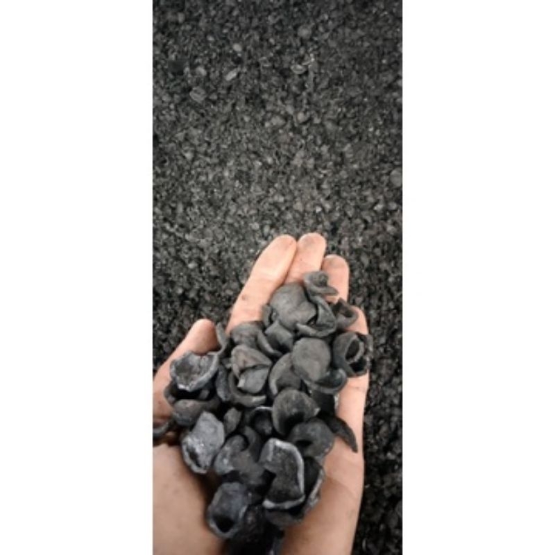 Jual Areng cangkang kemiri/areng Muncang 1 kg langsung dari pengrajin ...