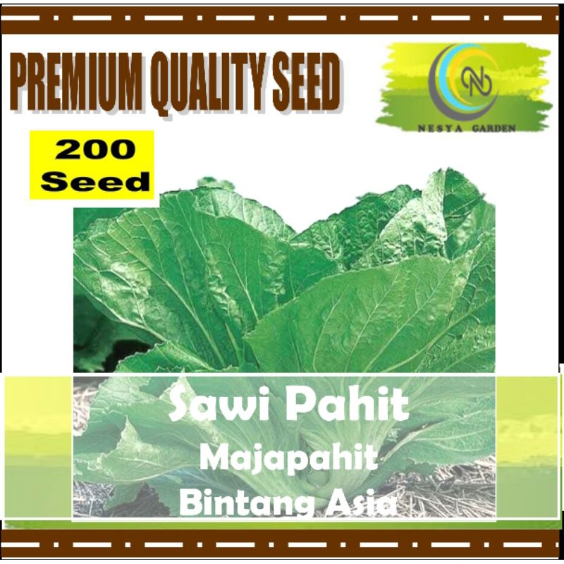 Jual Benih Sayur Sayuran Daun Buah Rumahan Lengkap Berkualitas - Benih ...