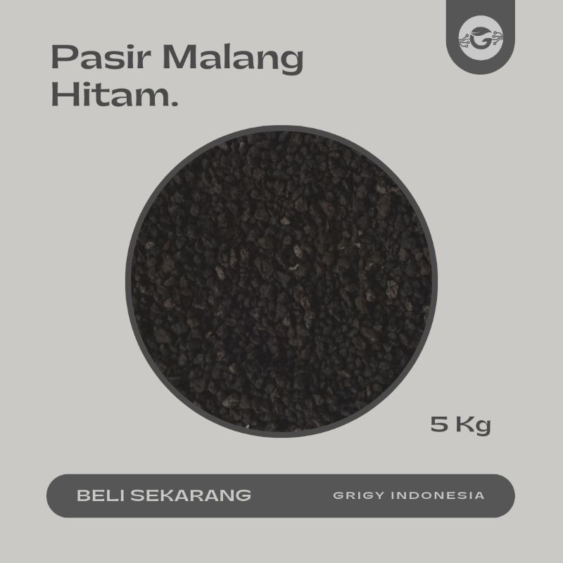 Jual PASIR MALANG HITAM/PASIR AQUASCAPE/PASIR TAMAN 5000 GRAM | Shopee ...
