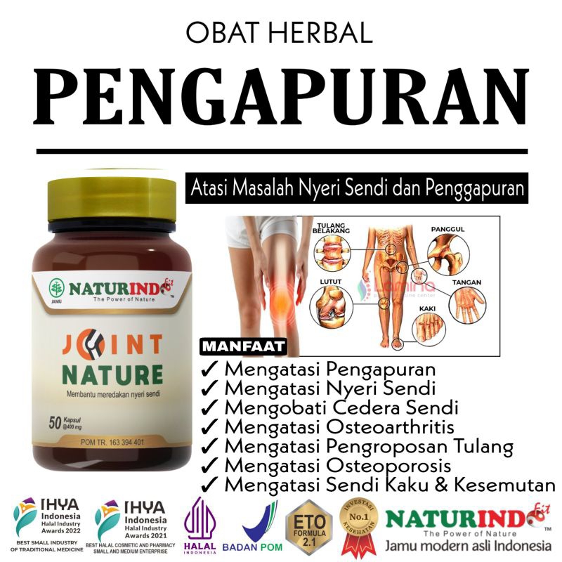 Jual Obat Pengapuran Tulang Lutut dan Nyeri Sendi Arhitis ...