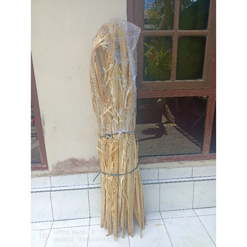 Jual busung ibung busung Sulawesi 1gabung | Shopee Indonesia
