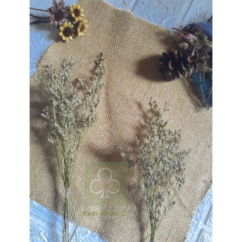 Jual Ecer murah Dijual bunga rustic caspea kering tangkai kecil ...