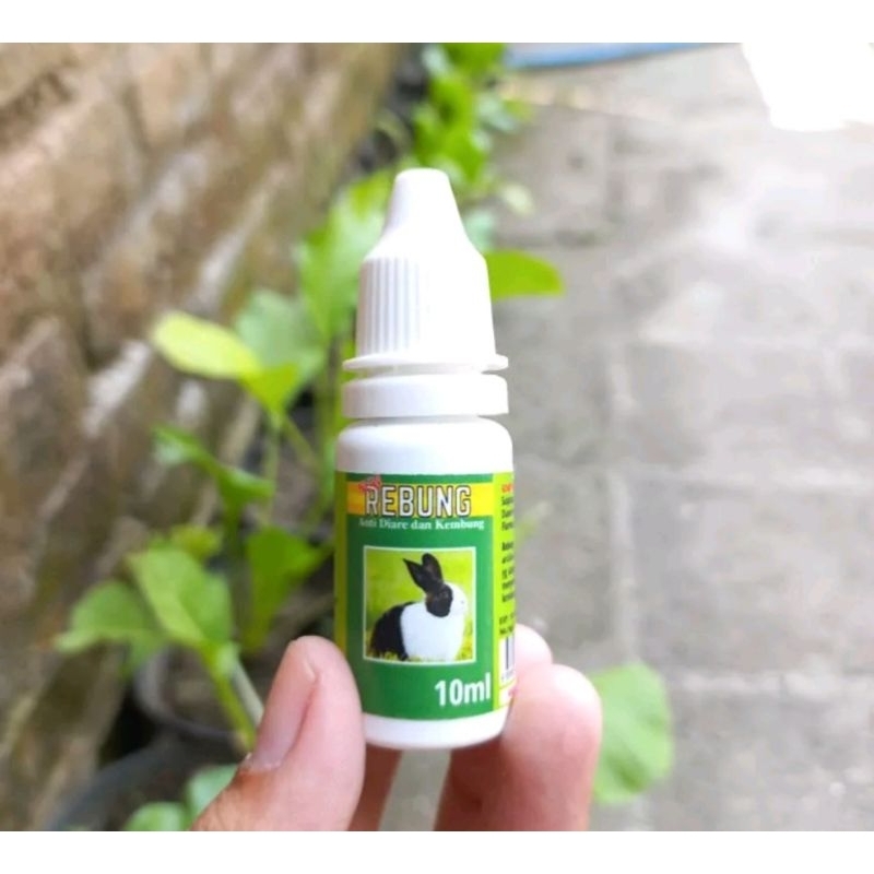 Jual MINIPETS REBUNG K 10 ML - Obat Kembung Mencret Berak Lendir Berak ...