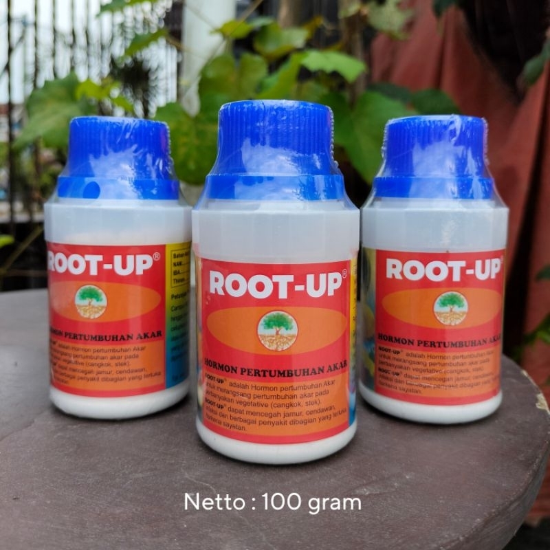 Jual ROOT UP HORMON AKAR 100 GRAM | ROOT UP | ZPT | PUPUK PERANGSANG ...