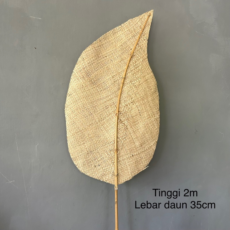 Jual rayung kering stik / rayung tangkai dekorasi | Shopee Indonesia