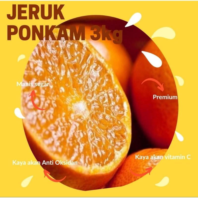 Jual JERUK PONKAM TASTY KUALITAS PREMIUM 1KG MANIS SEGAR | Shopee Indonesia