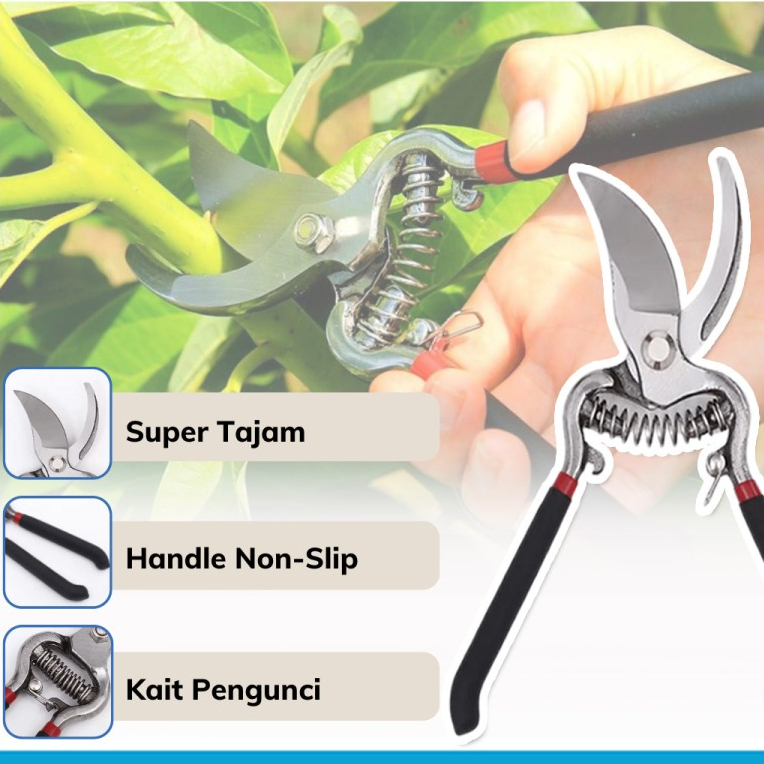 Jual Gunting Dahan Pemotong Ranting Pohon Tanaman Super Tajam 8 Inch ...
