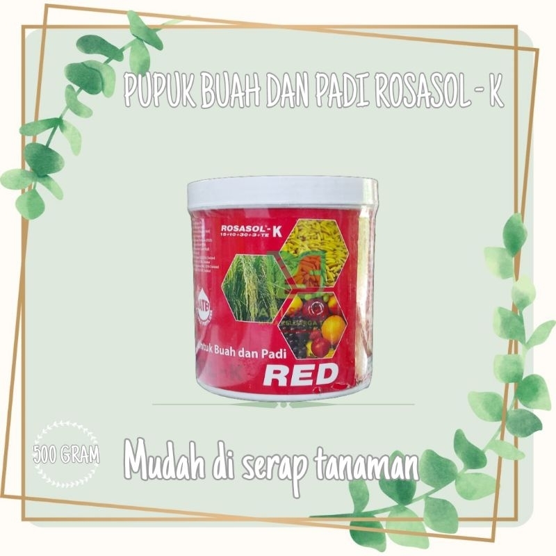 Jual Pupuk buah dan padi ROSASOL-K (N, P, K even) - 500 gram | Shopee Indonesia