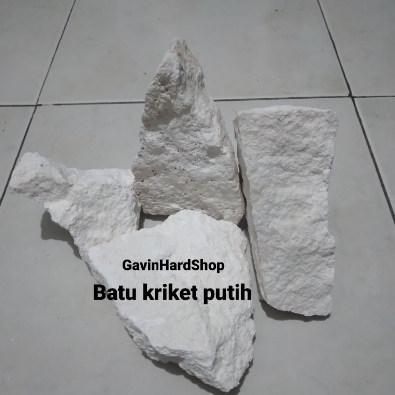 Jual Batu kriket kreket cricket creket criket putih aquascape aquarium ...