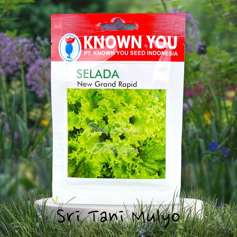 Jual BENIH KYS KNOWN YOU SEED NEW GRAND RAPID SELADA 5 GRAM KEMASAN PABRIK SRI TANI MULYO ...
