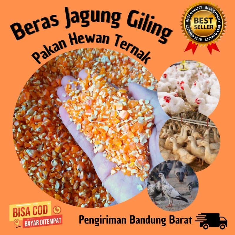 Jual jagung giling pakan ayam super dan pakan ternak lainnya | Shopee ...
