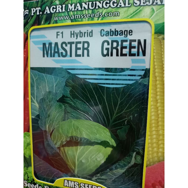 Jual BENIH KUBIS/KOL Usia genjah dan tahan pecah MASTER GREEN (F1 ...