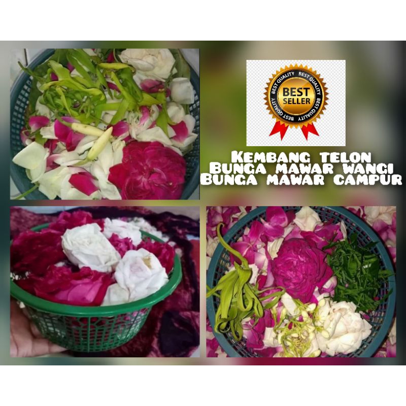 Jual Kembang Telon 3 rupa ,Bunga Mawar wangi kampung tabur, Bunga mawar ...