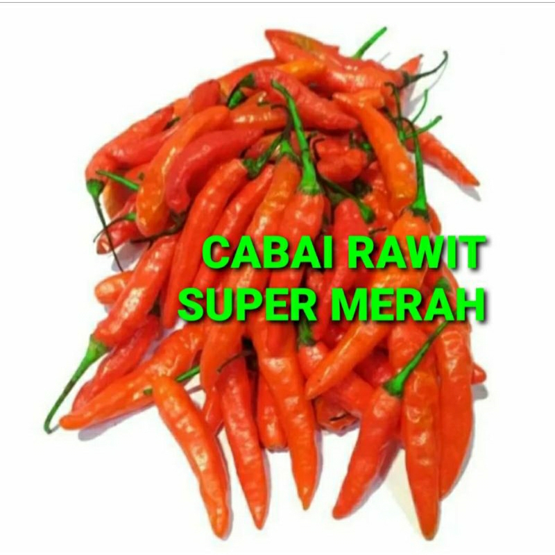Jual CABAI RAWIT SUPER MERAH KHUSUS PARA SULTAN 1 KG (PREMIUM QUALITY ...