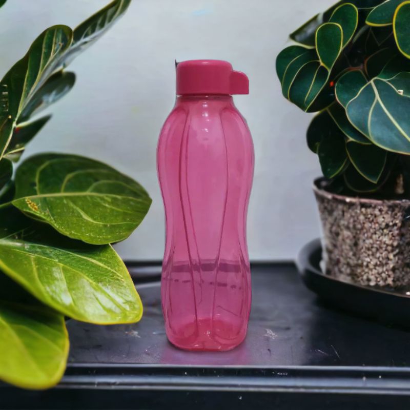 Jual Tempat Botol Air Minum Eco Bottle 500 ml Pink Tupperware Tuppy ...