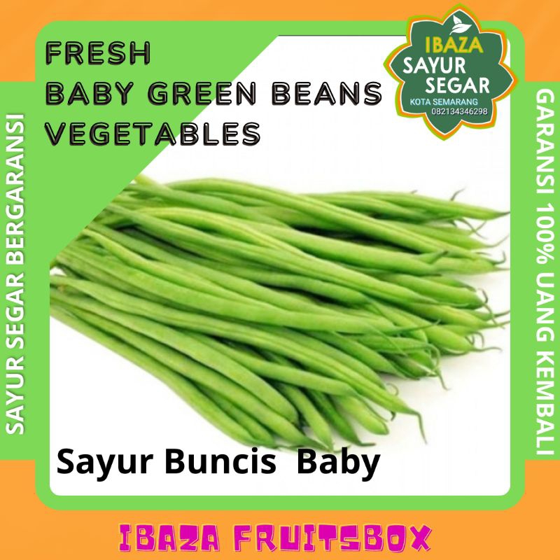 Jual Sayur Buncis Baby | Shopee Indonesia