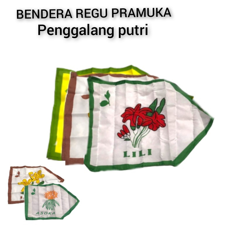 Jual BENDERA REGU PRAMUKA PENGGALANG PUTRI ~ HARAPAN ADEK | Shopee ...