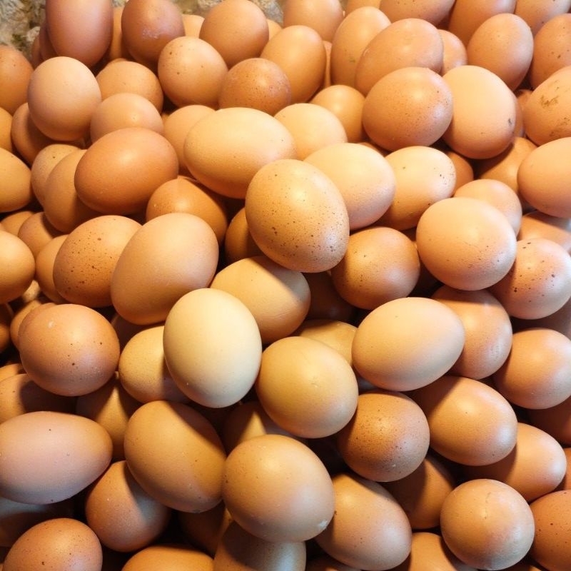 Jual Telur Ayam Ras (Isi 5) Jumbo | Shopee Indonesia