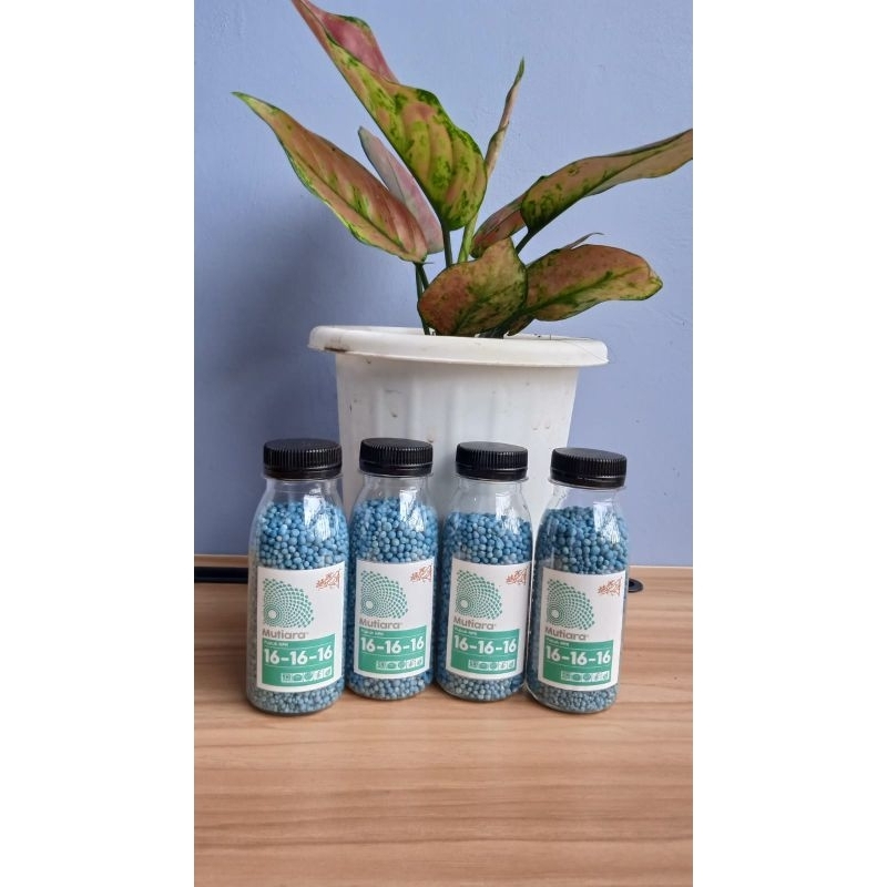 Jual Pupuk Mutiara biru seimbang 16 16 16 Repack 100 gram | Shopee ...